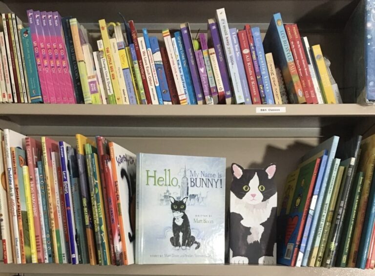 Meet our friends: Brooklyn Book Bodega | Hello Bunny Bloom